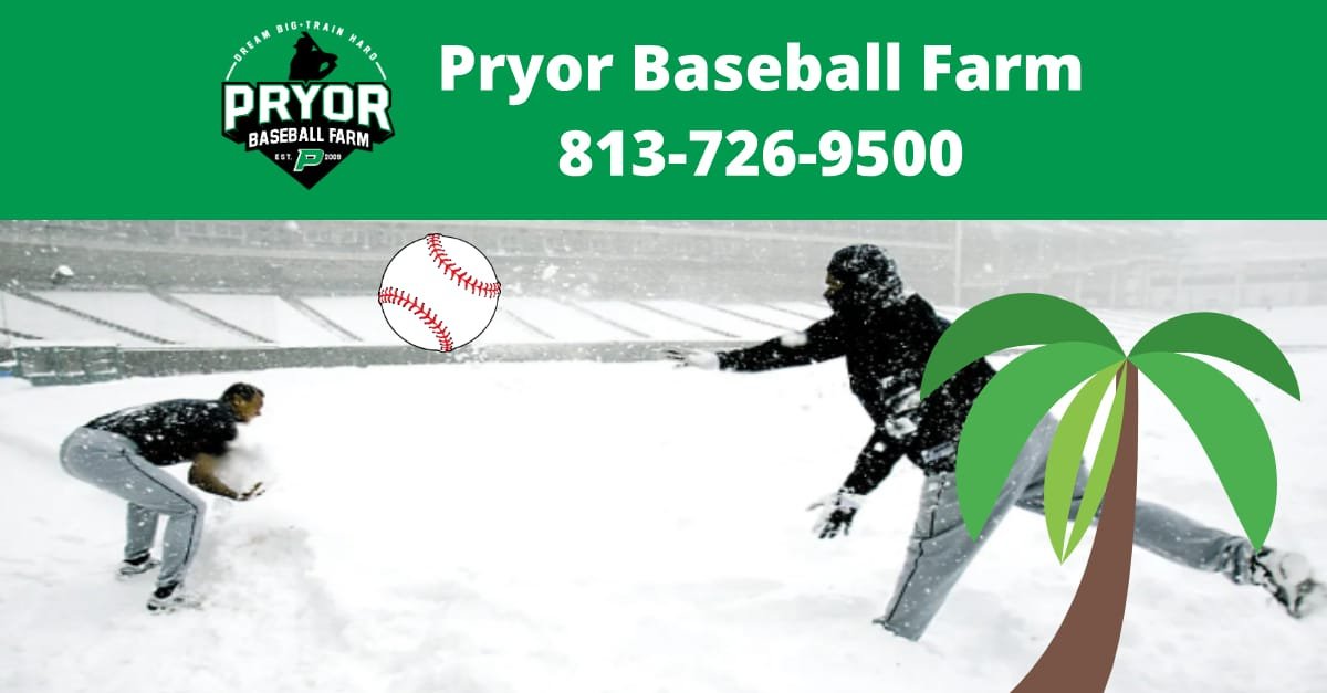 Discover the Ultimate Winter Baseball Camp: 5 Reasons to Join Our 2024 ...